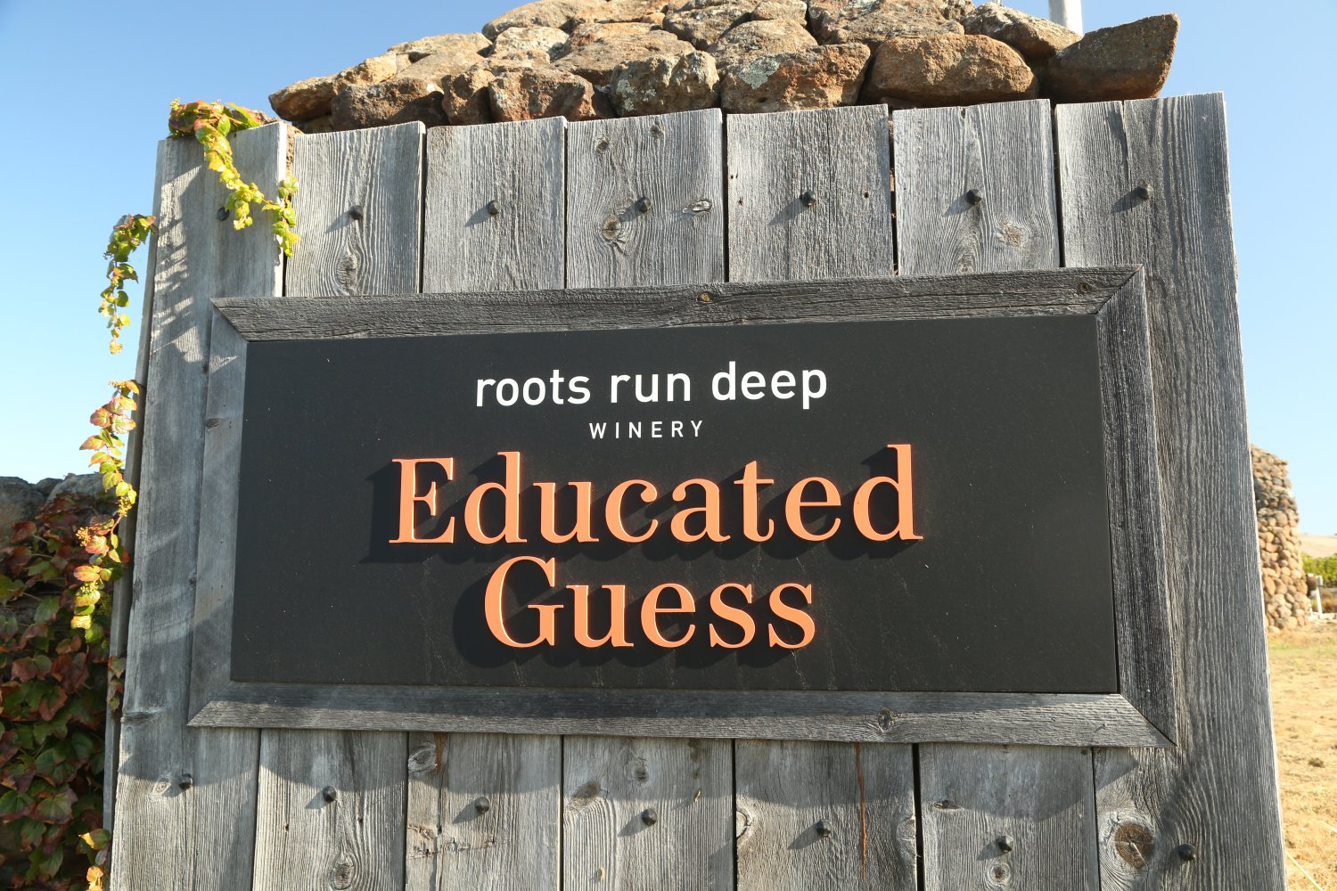 Roots Run Deep Winery - The Napa Wine Project