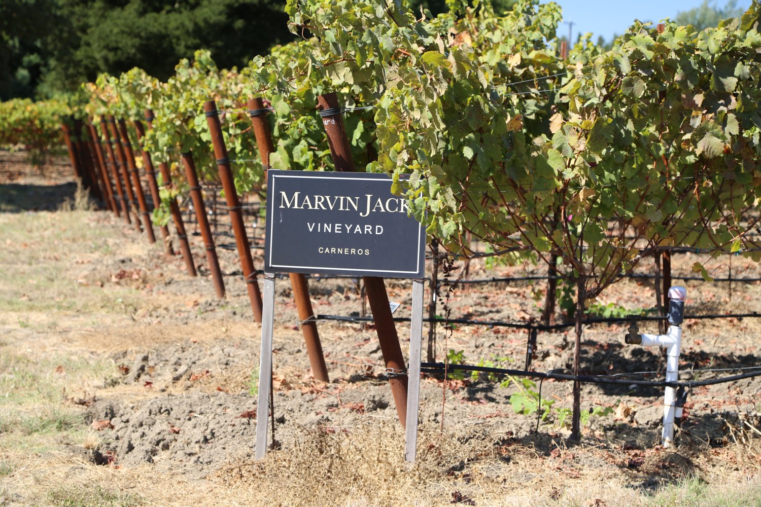 Art House Wines - The Napa Wine Project