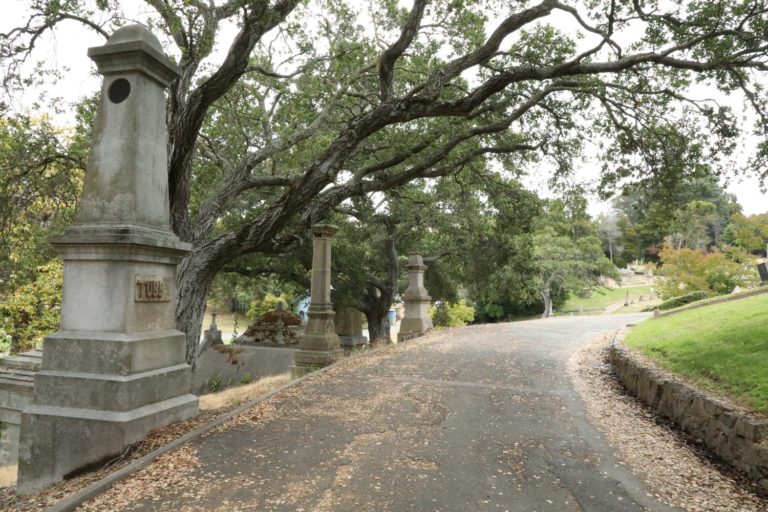 Chateau Montelena - The Napa Wine Project