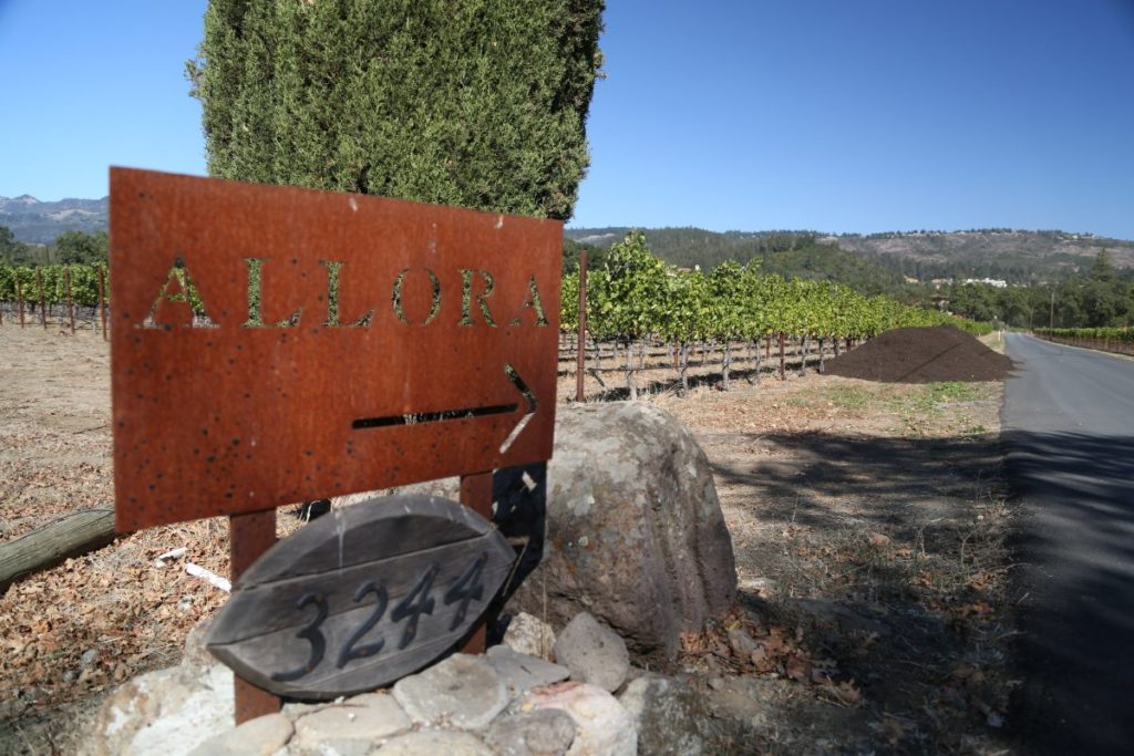 Allora Vineyards - The Napa Wine Project