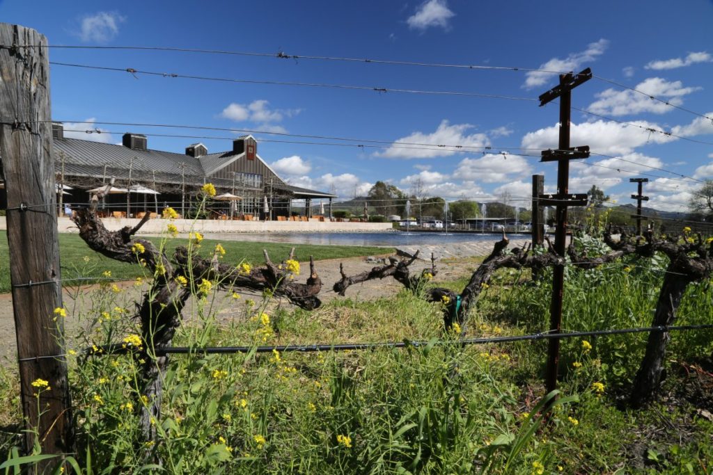 Alpha Omega Winery - The Napa Wine Project