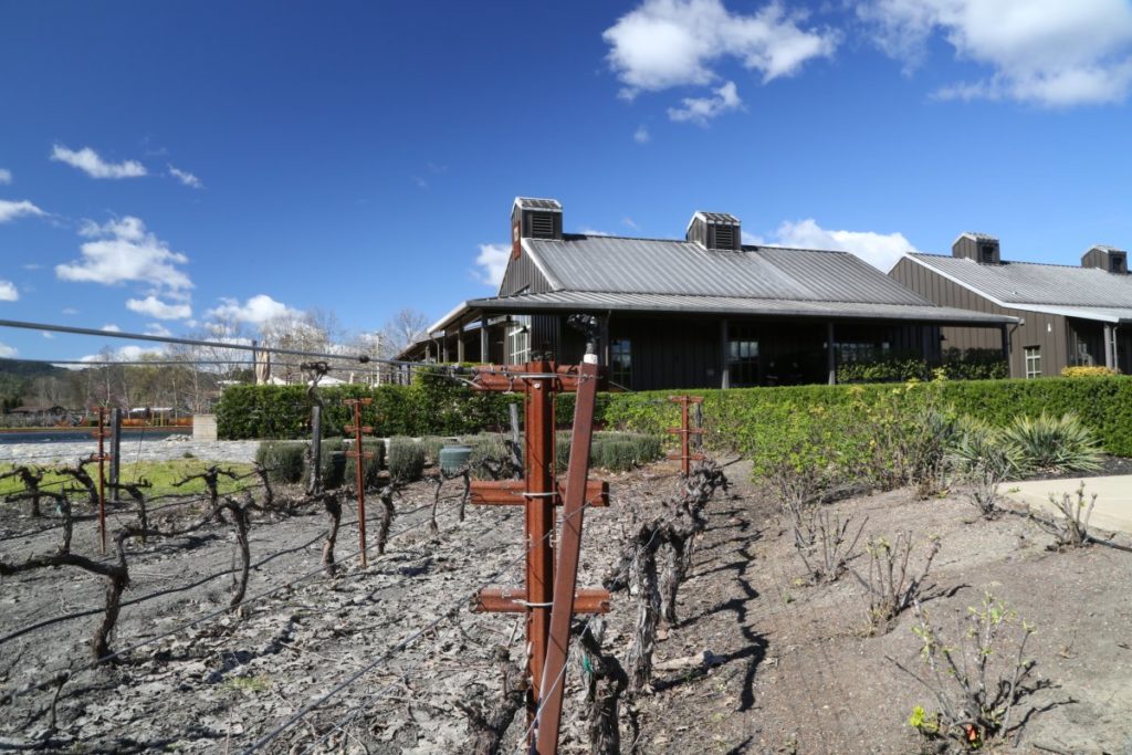 Alpha Omega Winery - The Napa Wine Project