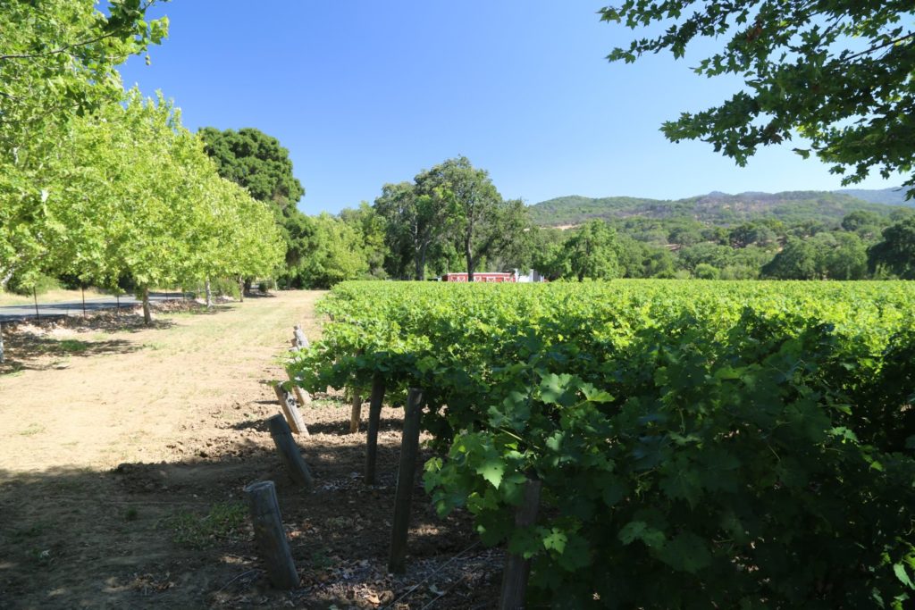 Altamura Winery - The Napa Wine Project