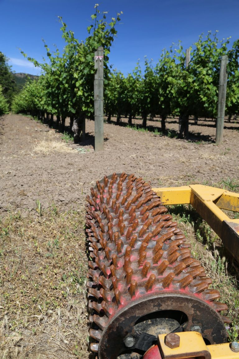 Altamura Winery - The Napa Wine Project