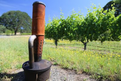 Altamura Winery - The Napa Wine Project