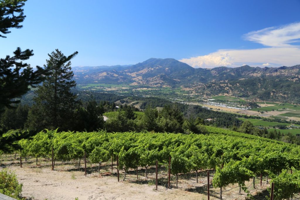 Andrew Geoffrey Vineyards - The Napa Wine Project