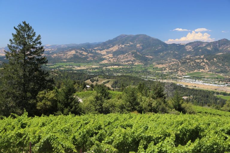 Andrew Geoffrey Vineyards - The Napa Wine Project