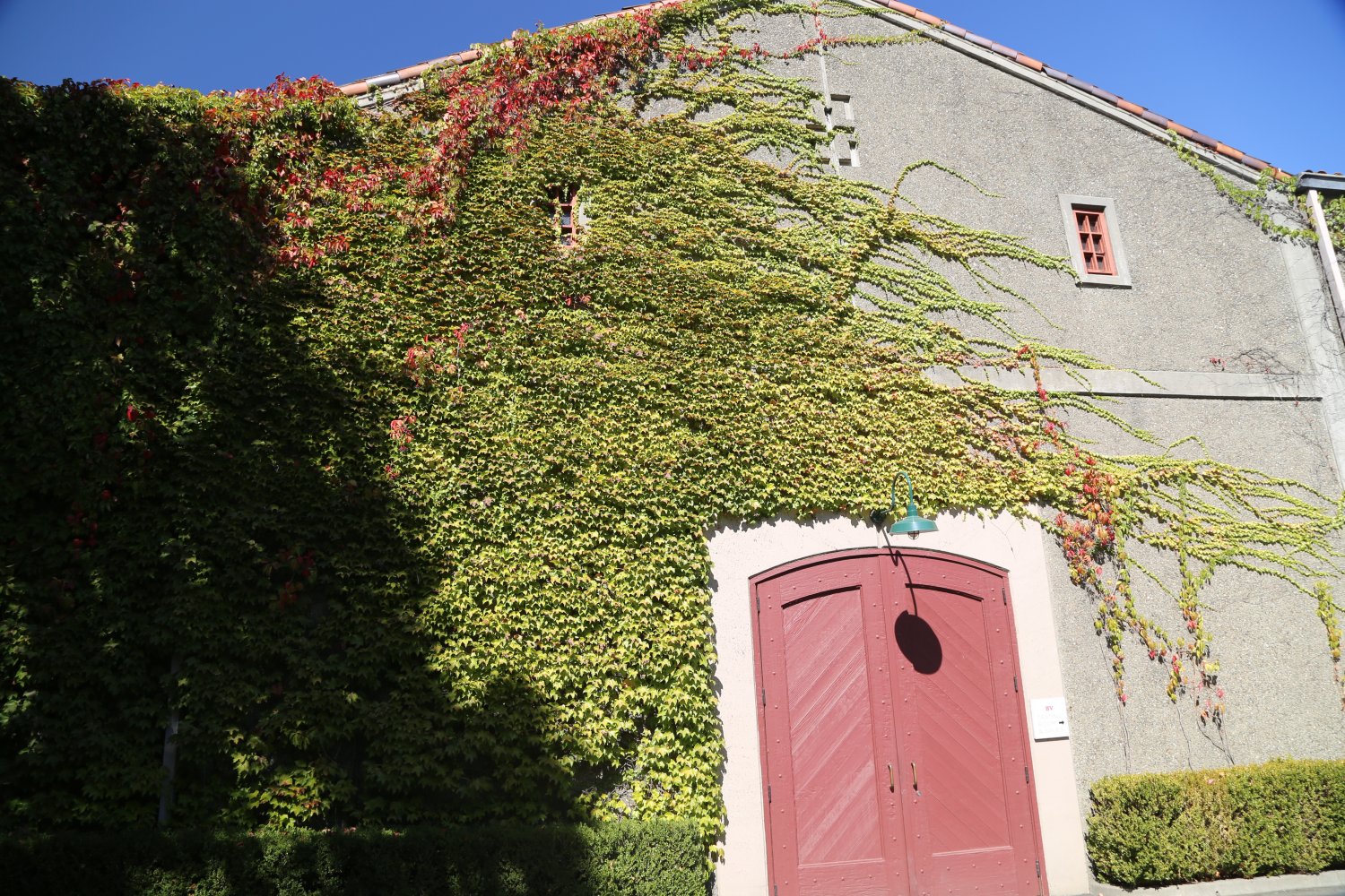 Beaulieu Vineyard - The Napa Wine Project