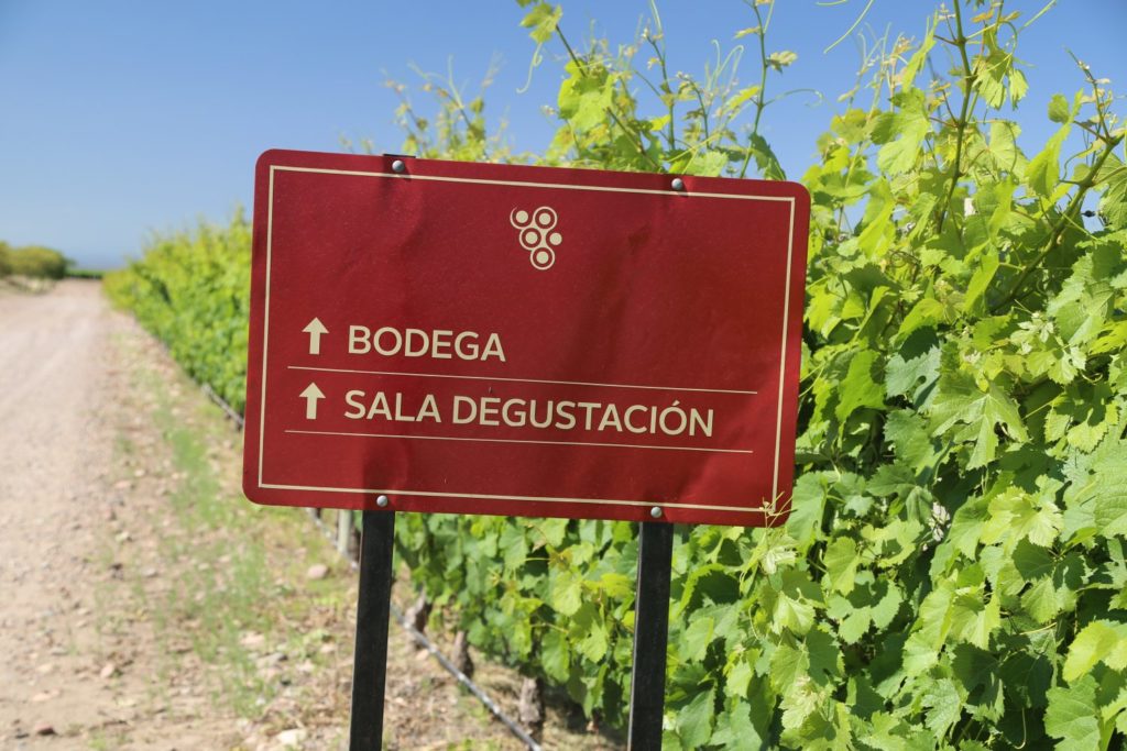 Pavi Wines - The Napa Wine Project