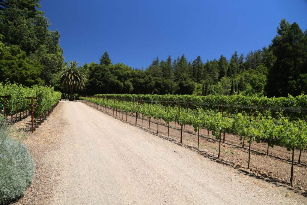 Boeschen Vineyards - The Napa Wine Project