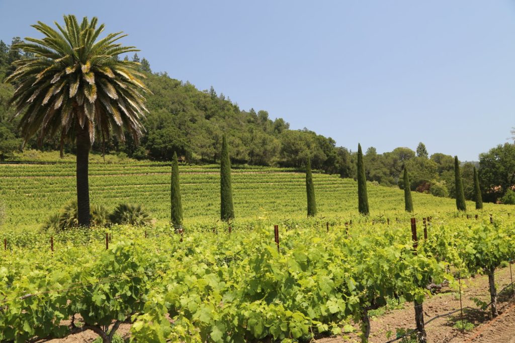 Boeschen Vineyards - The Napa Wine Project