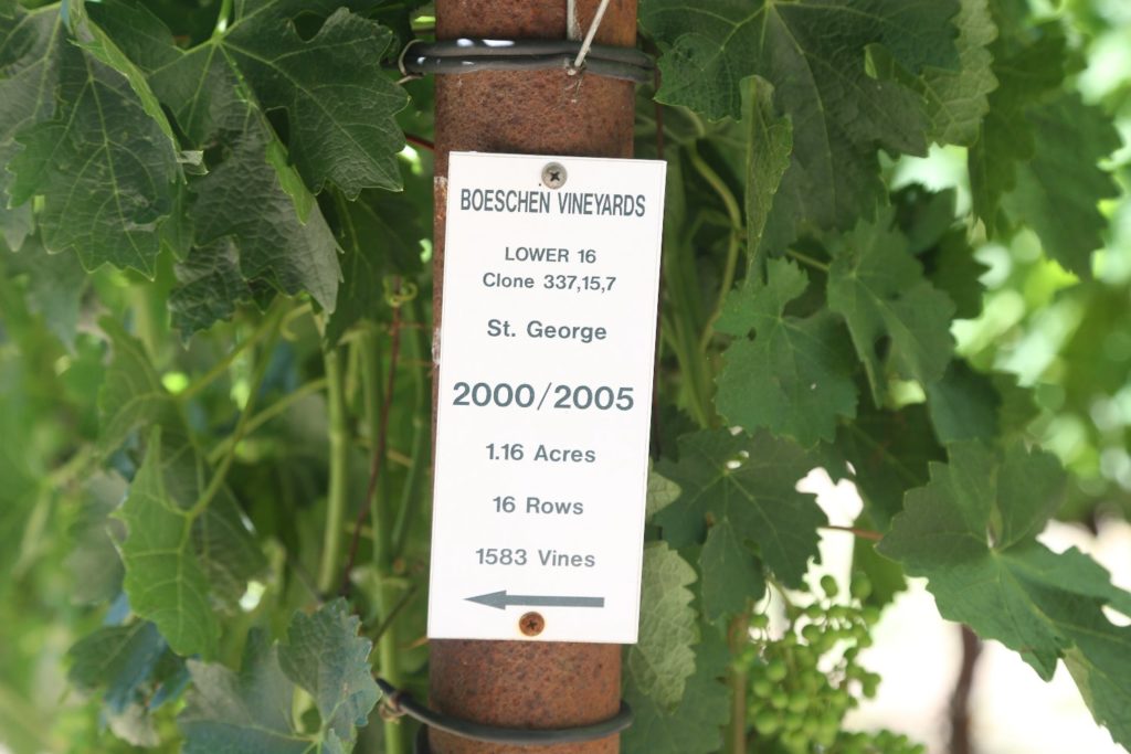 Boeschen Vineyards - The Napa Wine Project