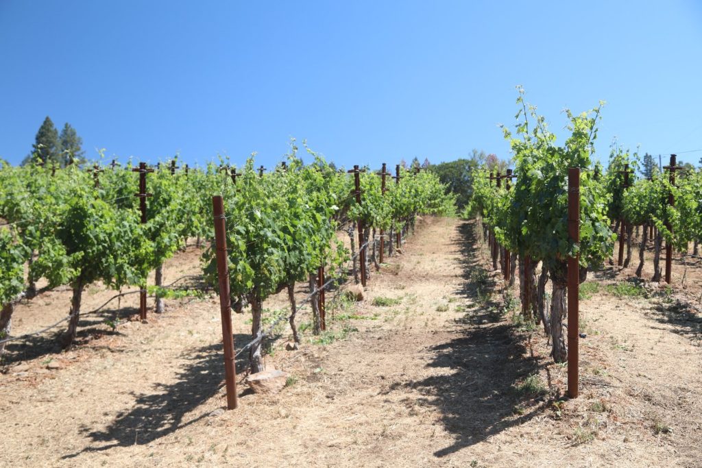 Bravante Vineyards - The Napa Wine Project