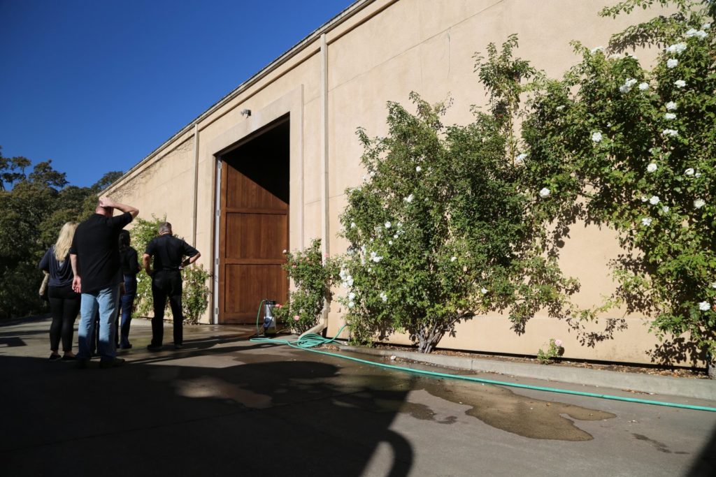 Buehler Vineyards - The Napa Wine Project