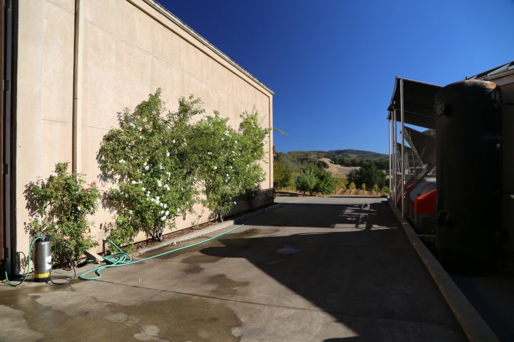 Buehler Vineyards - The Napa Wine Project