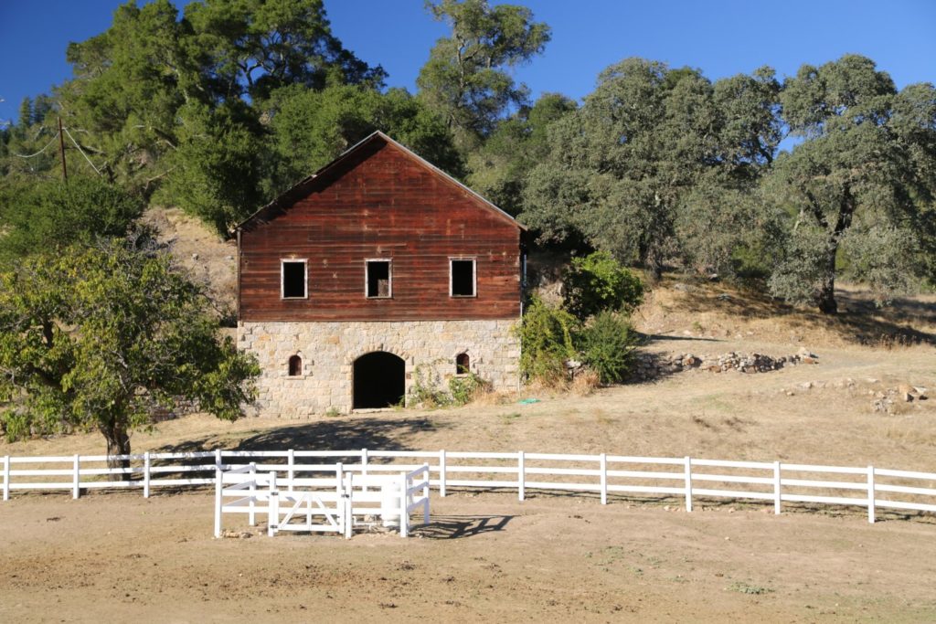 Buehler Vineyards - The Napa Wine Project