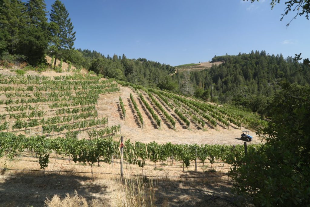 Spring Mountain Vineyard - The Napa Wine Project