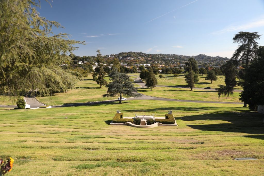 Marston Family Vineyard - The Napa Wine Project