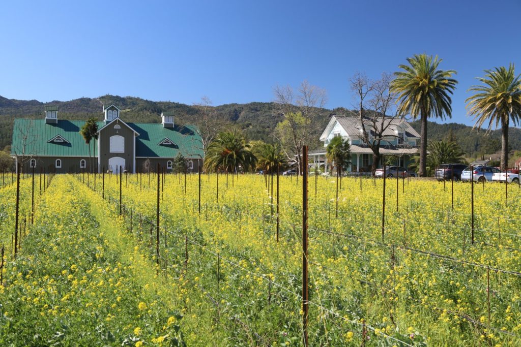 Corison Winery - The Napa Wine Project