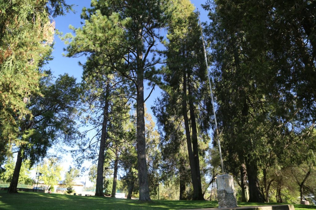 Detert Family Vineyards - The Napa Wine Project