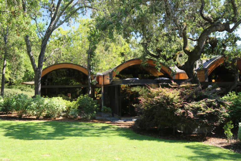 CHANDON California - The Napa Wine Project