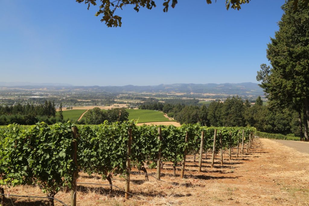 Inglenook Estate - The Napa Wine Project