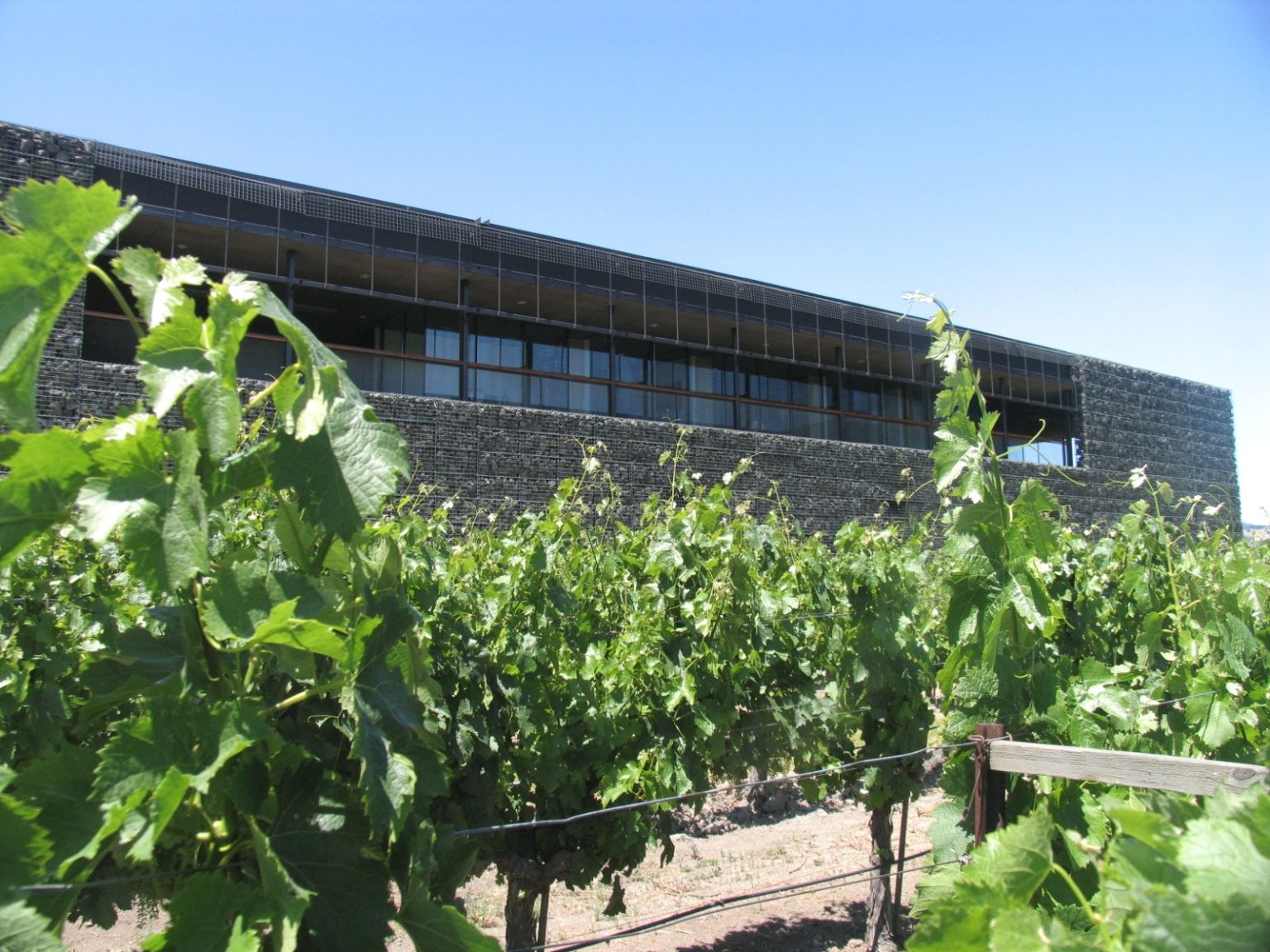 Dominus Estate - The Napa Wine Project