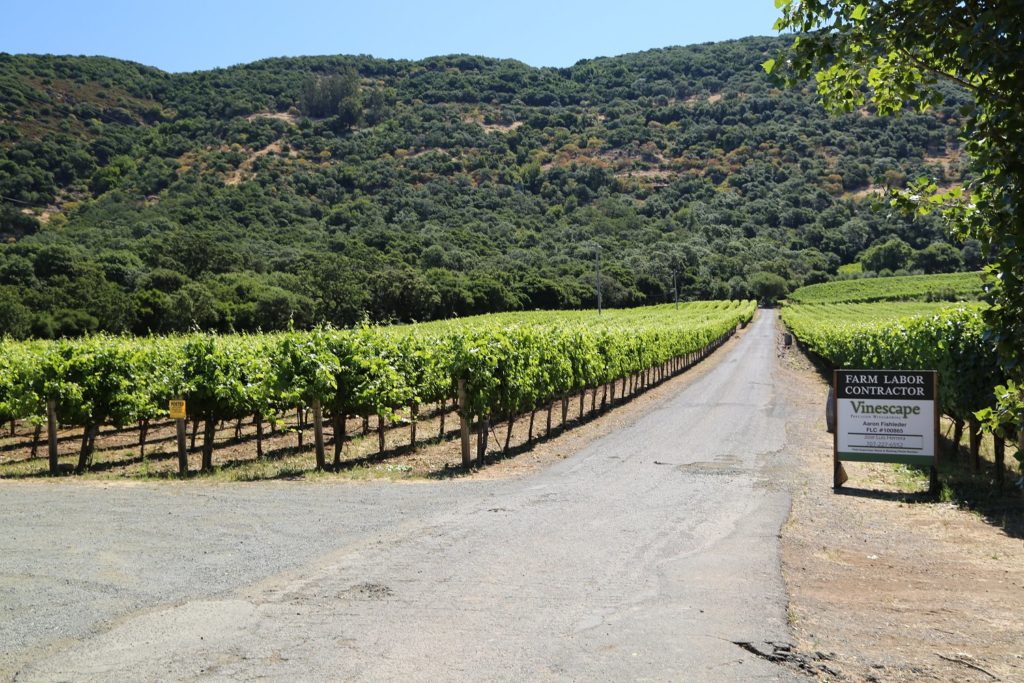 Realm Cellars - The Napa Wine Project