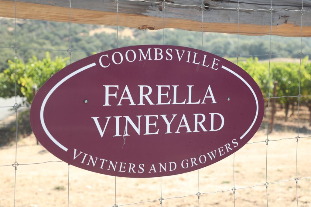 Realm Cellars - The Napa Wine Project