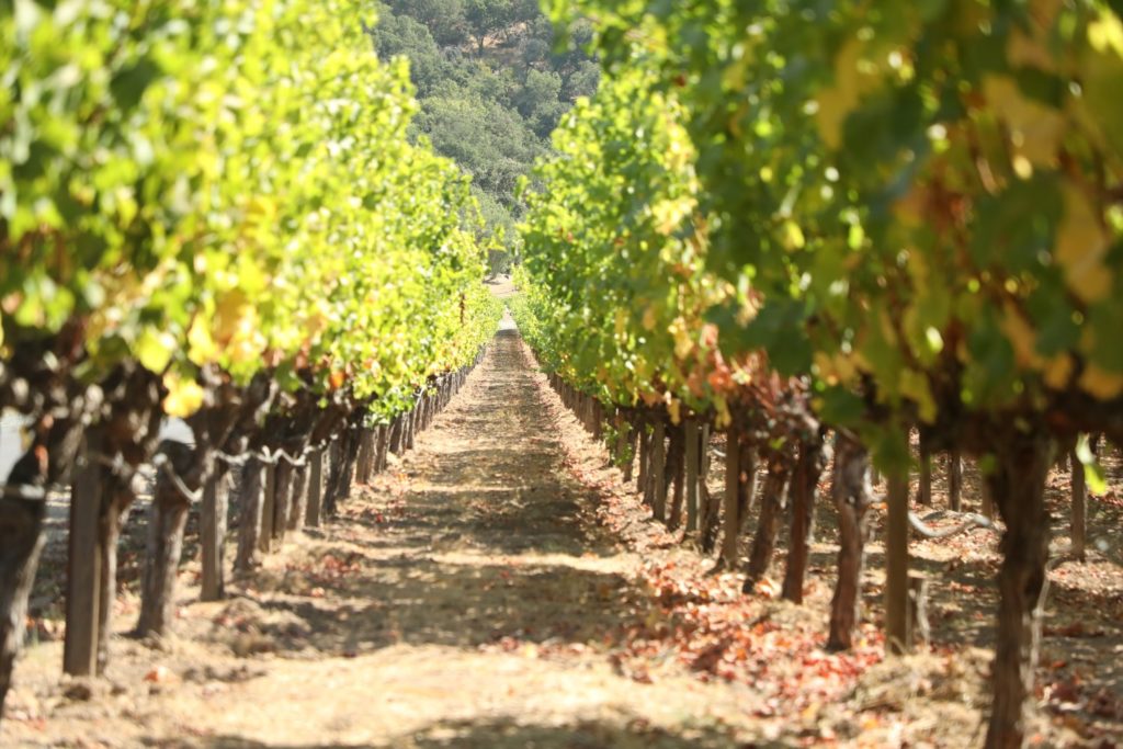 Realm Cellars - The Napa Wine Project