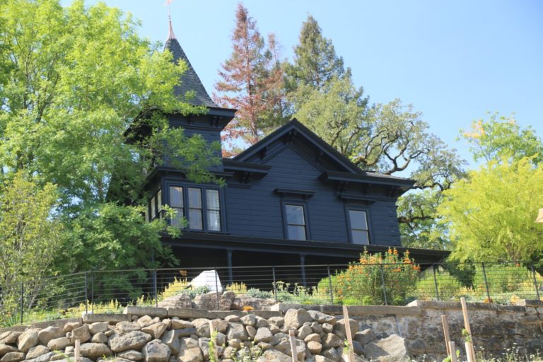 FAUST Wine - The Napa Wine Project