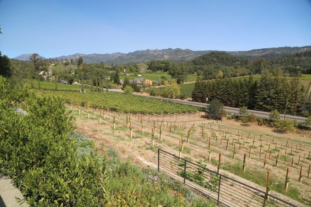 FAUST Wine - The Napa Wine Project