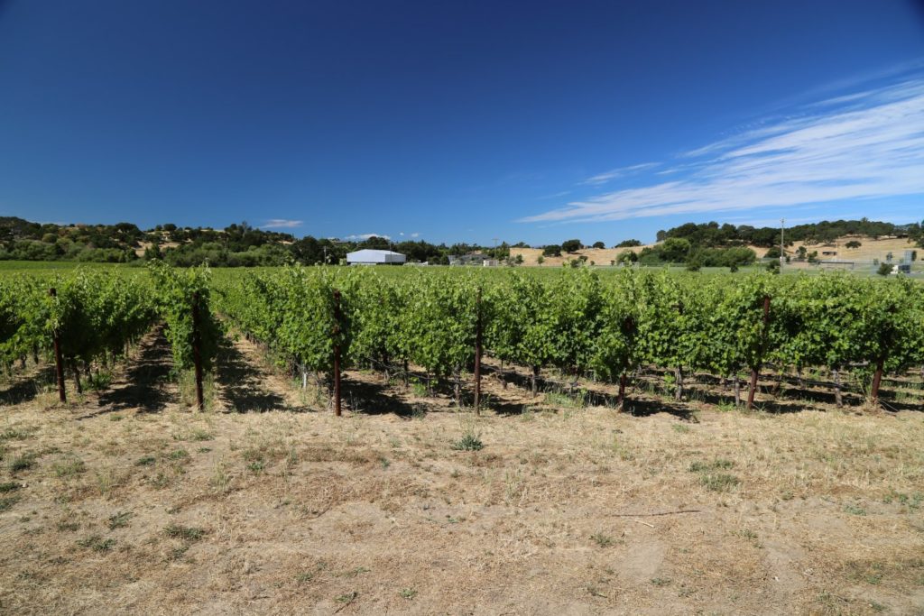 Faust Wine - The Napa Wine Project