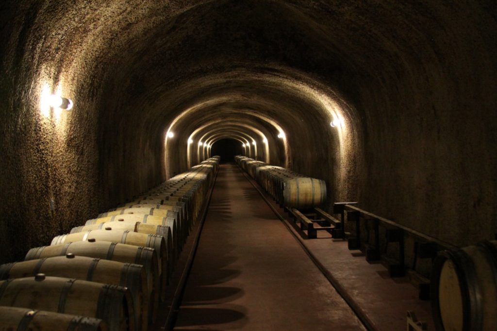 Forman Vineyard - The Napa Wine Project