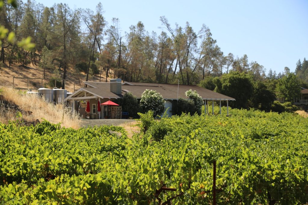 g Cook Family Winery - The Napa Wine Project