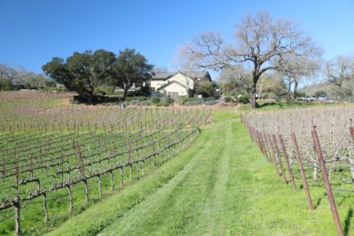 Gargiulo Vineyards - The Napa Wine Project