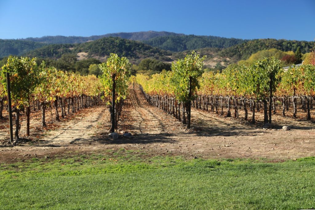Goosecross Cellars - The Napa Wine Project