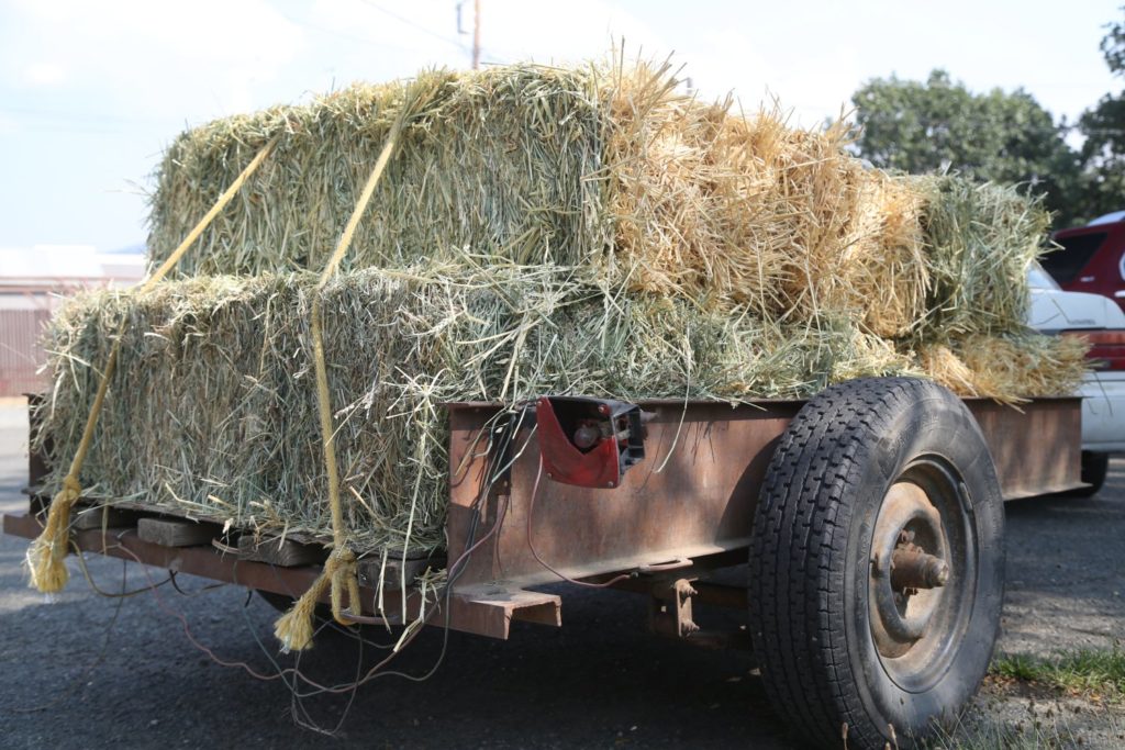 Hayfork Wine Company - The Napa Wine Project