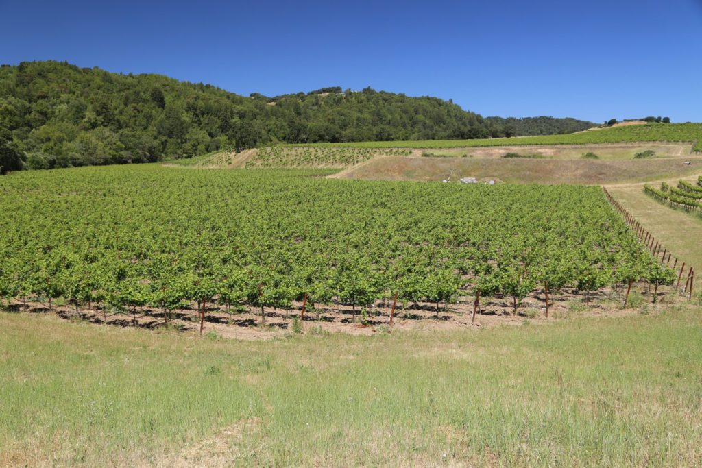 Hendry Ranch Winery - The Napa Wine Project