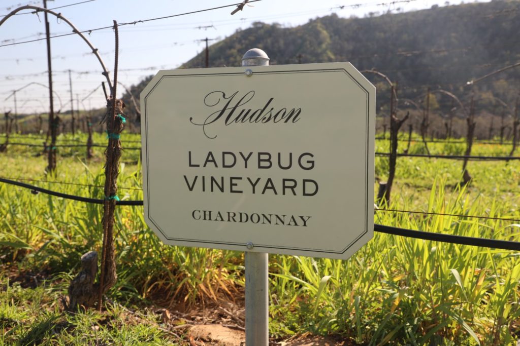 Hudson Ranch & Vineyards - The Napa Wine Project