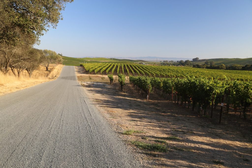 Hudson Ranch & Vineyards - The Napa Wine Project