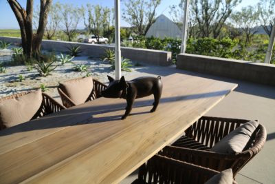 Hudson Ranch & Vineyards - The Napa Wine Project