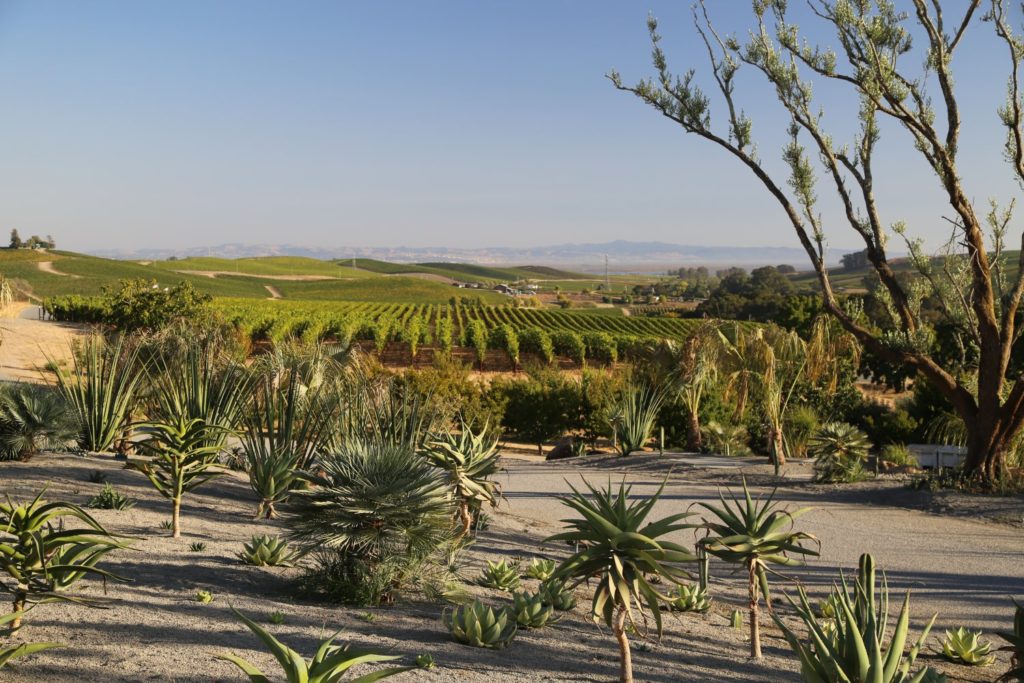 Hudson Ranch & Vineyards - The Napa Wine Project