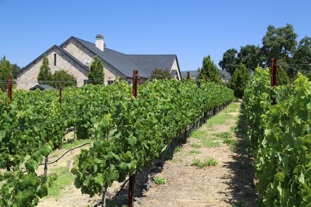 Kapcsándy Family Winery - The Napa Wine Project