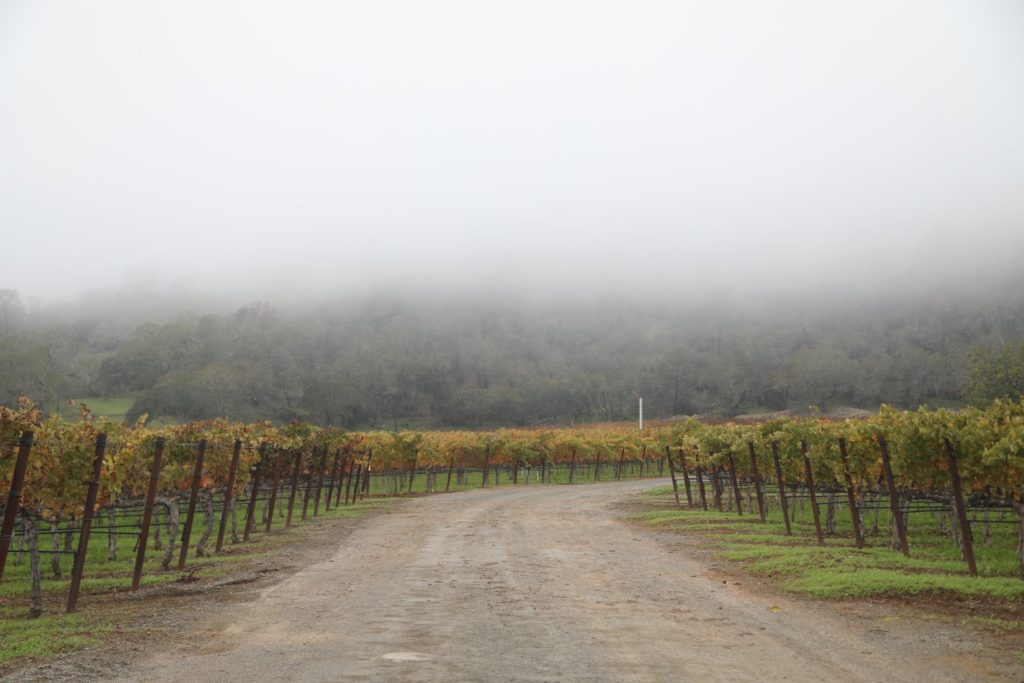 Kenefick Ranch - The Napa Wine Project