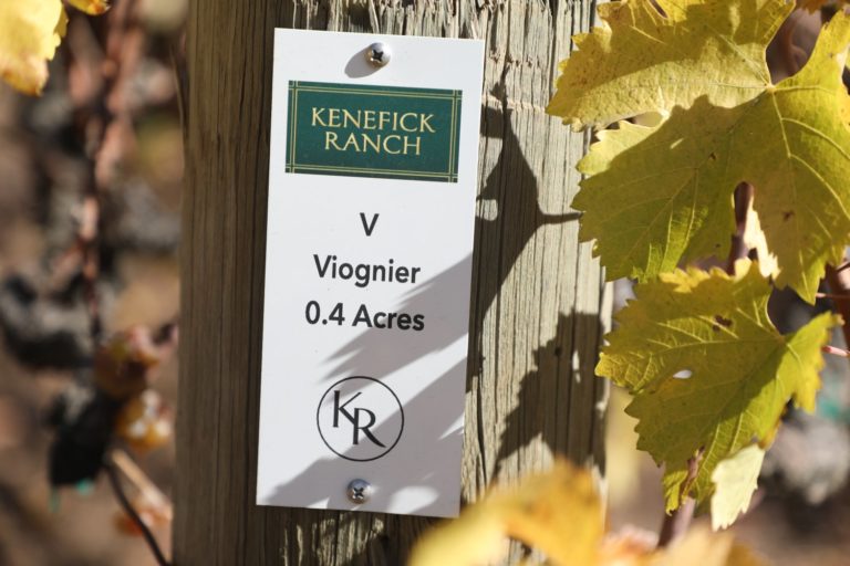 Kenefick Ranch - The Napa Wine Project