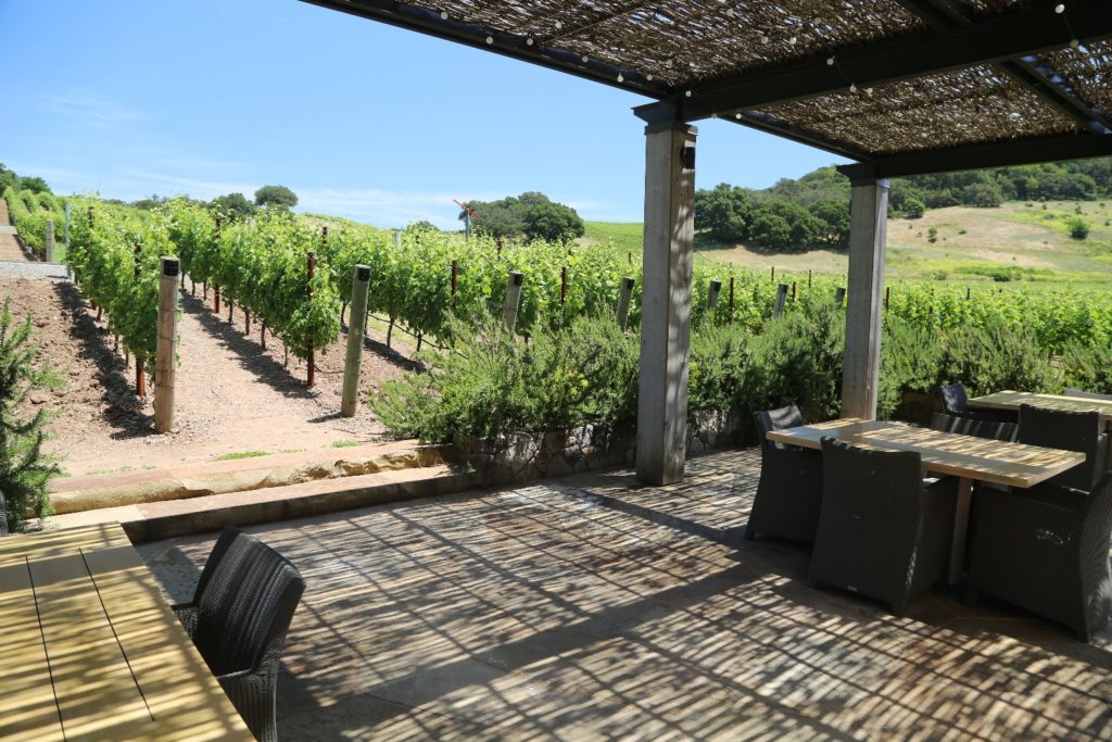 Kenzo Estate - The Napa Wine Project