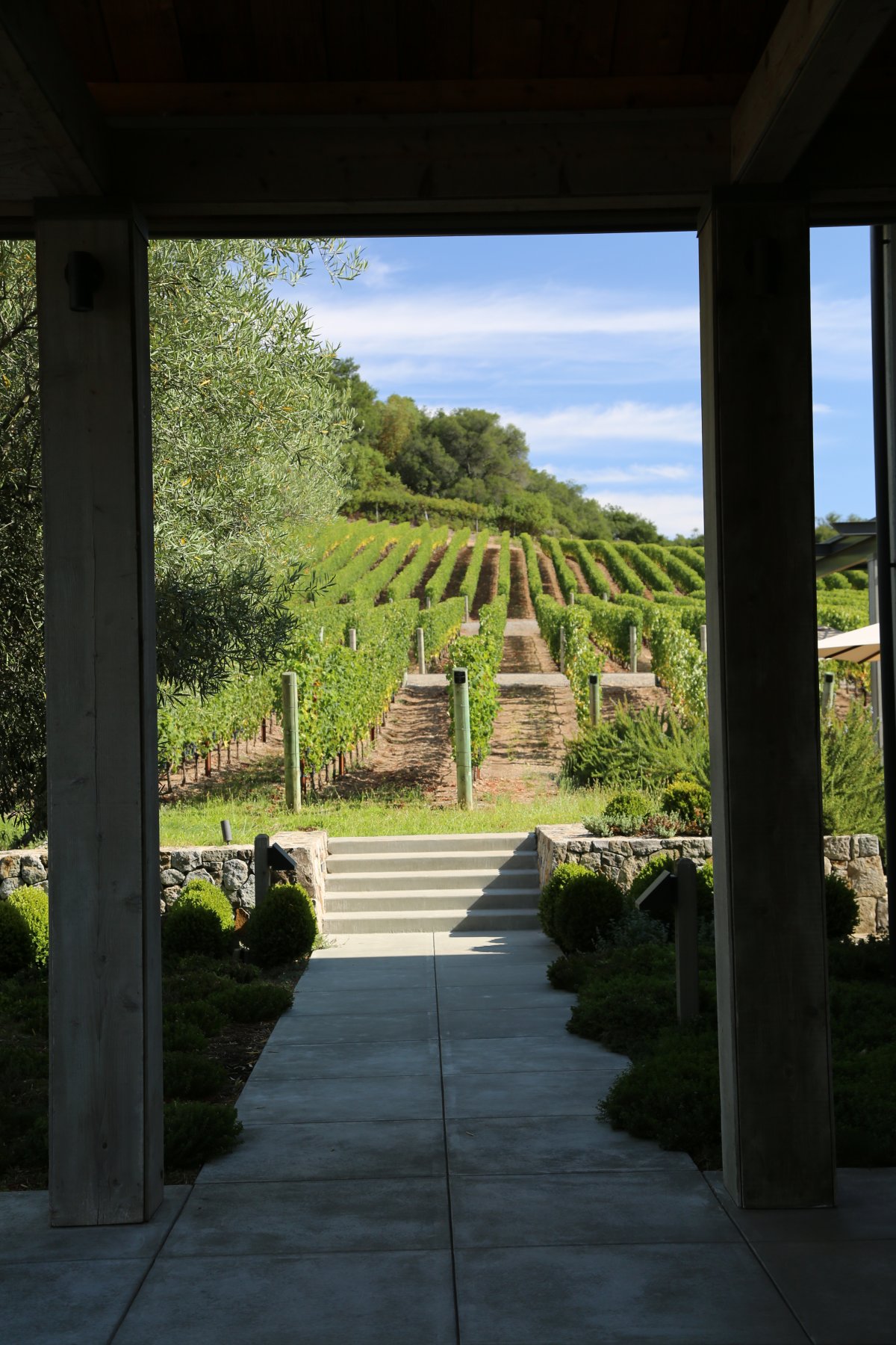 Kenzo Estate - The Napa Wine Project