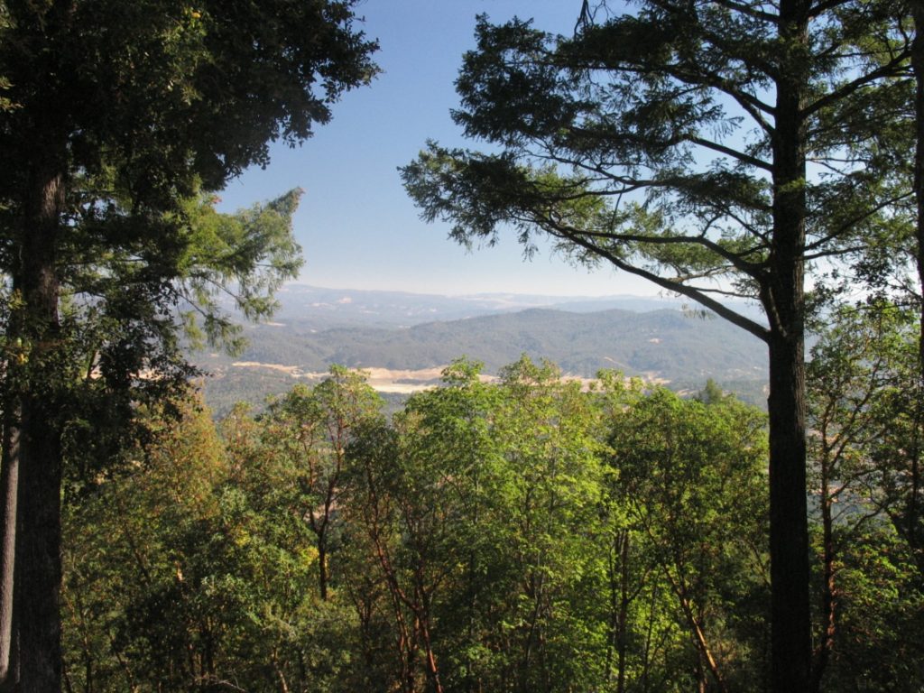 Lamborn Family Vineyards - The Napa Wine Project