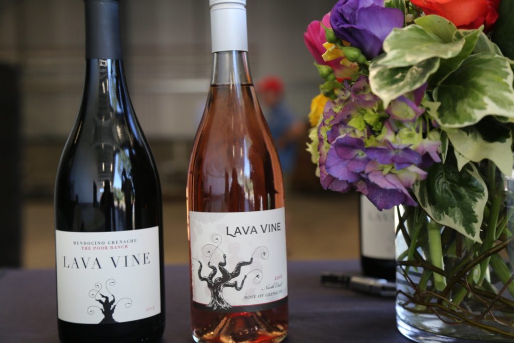 Lava Vine - The Napa Wine Project